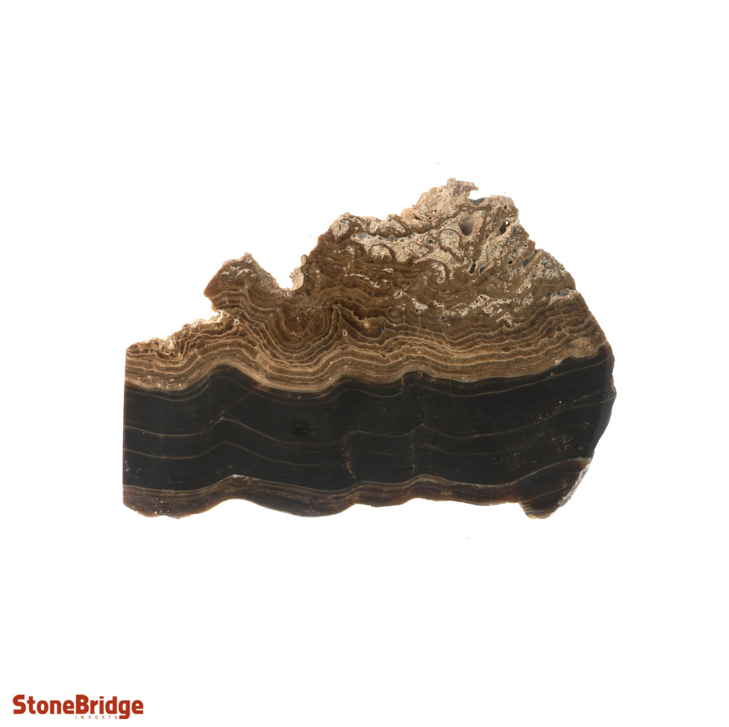 Chocolate Calcite Slices – The Rock Space